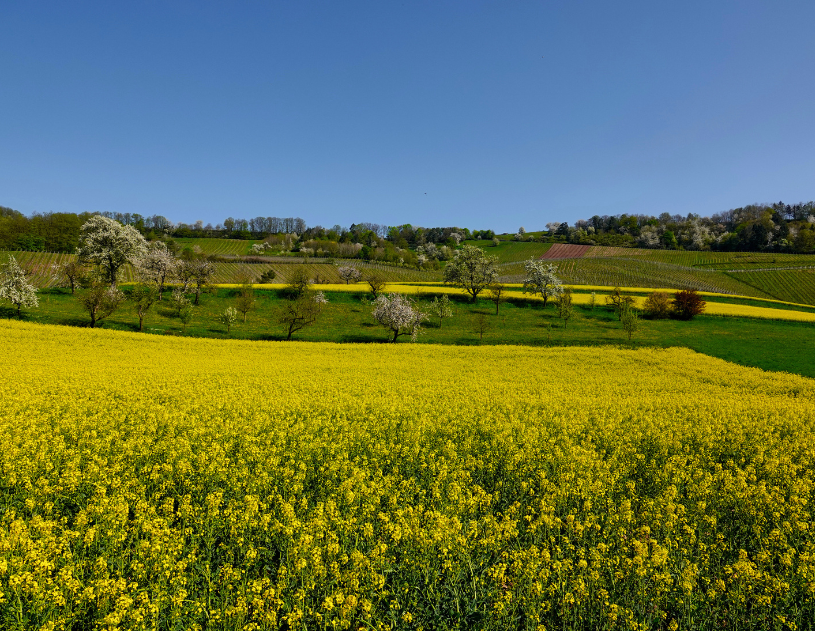 Agi Pipe Installation Process | Steps